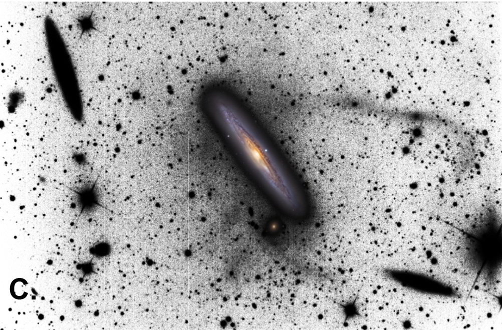 Survey of Stellar Streams in the Local Universe Science Highlights